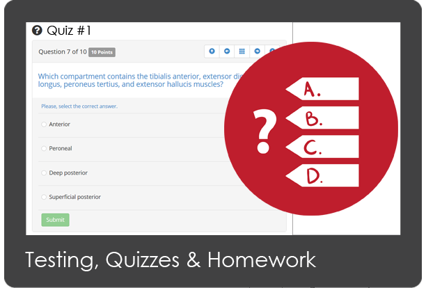 Learning Management System | Electa LMS